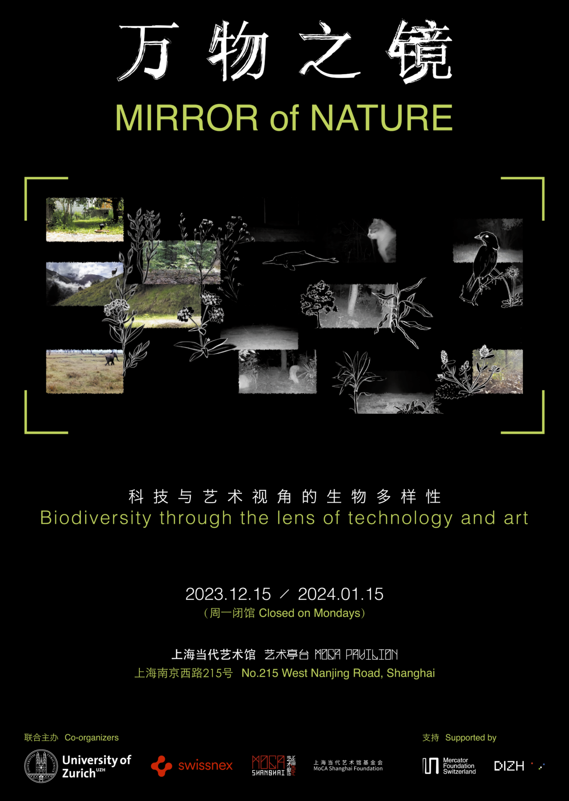 Bridging Art and Science: “Mirror of Nature” Inspires Sino-Swiss ...