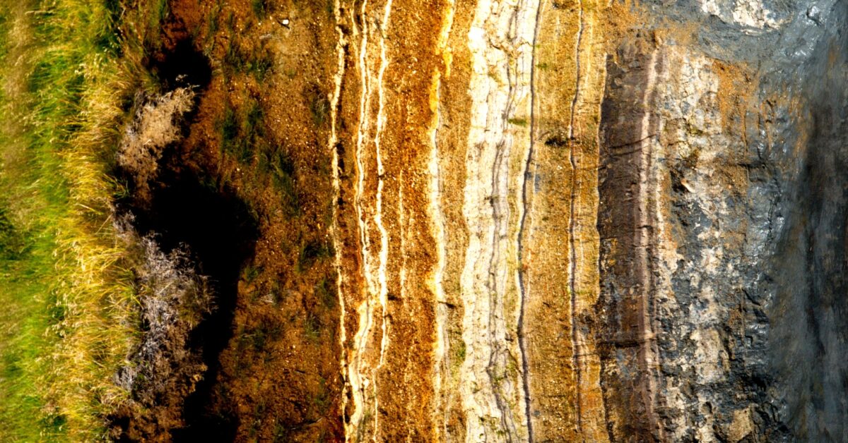 Swissnex For The Planet - Soil Stories - Swissnex