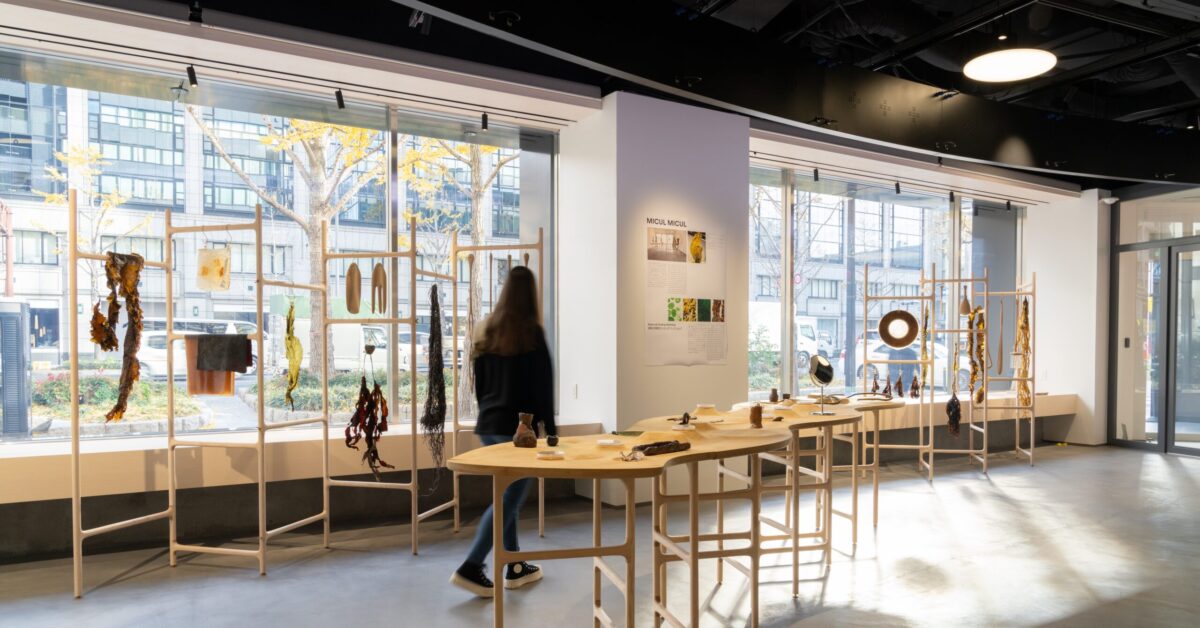 Algae’s Transformative Potential in Art, Food, and Sustainability ...