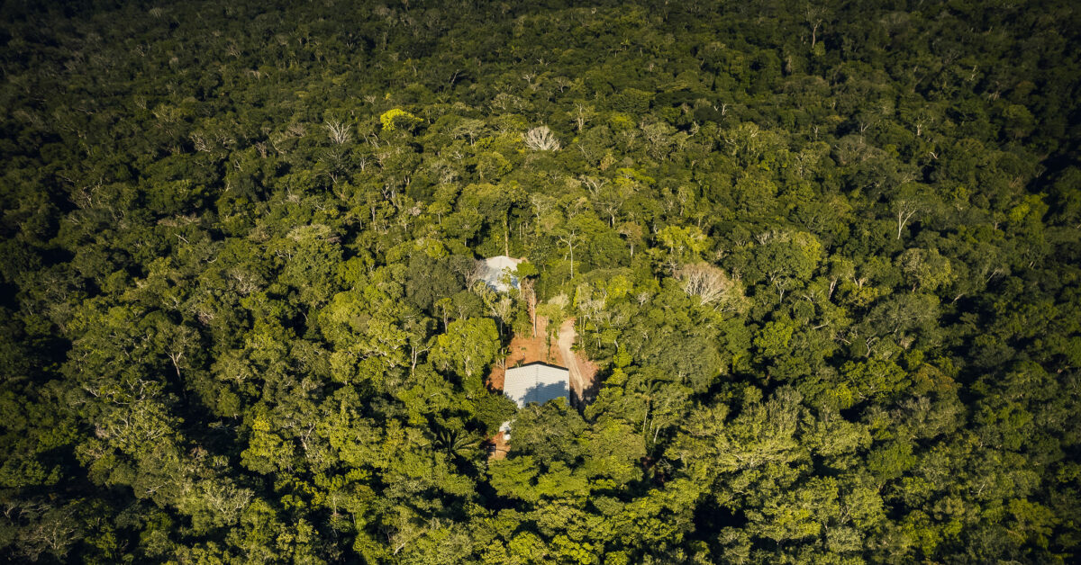 nexBio Amazônia - Swissnex in Brazil