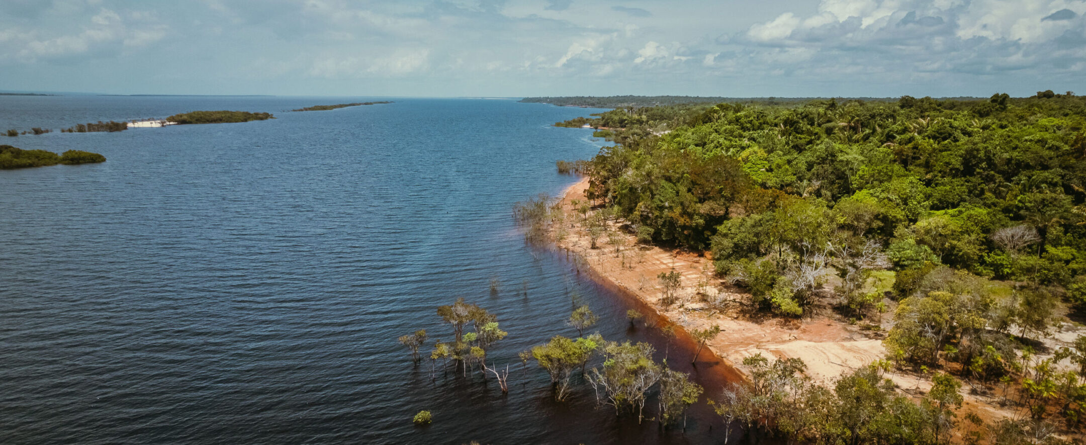 Preserving biodiversity: a conversation with Dr. Alessandra Nava ...