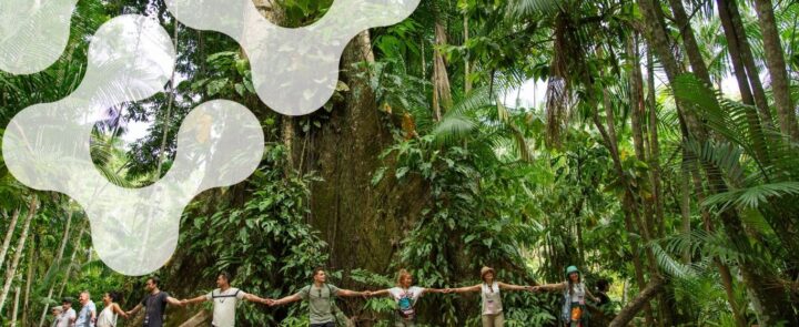 nexBio Amazônia: Meet the participants 2025 - Swissnex in Brazil